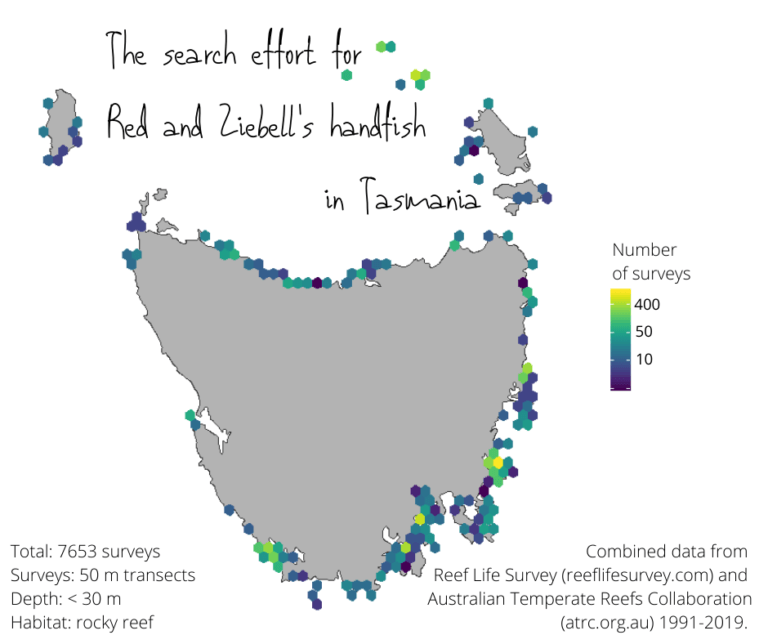 The search for Red and Ziebell's handfish | Handfish Conservation Project